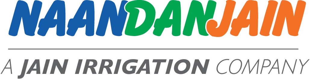 logo naan - System Innovation Romania